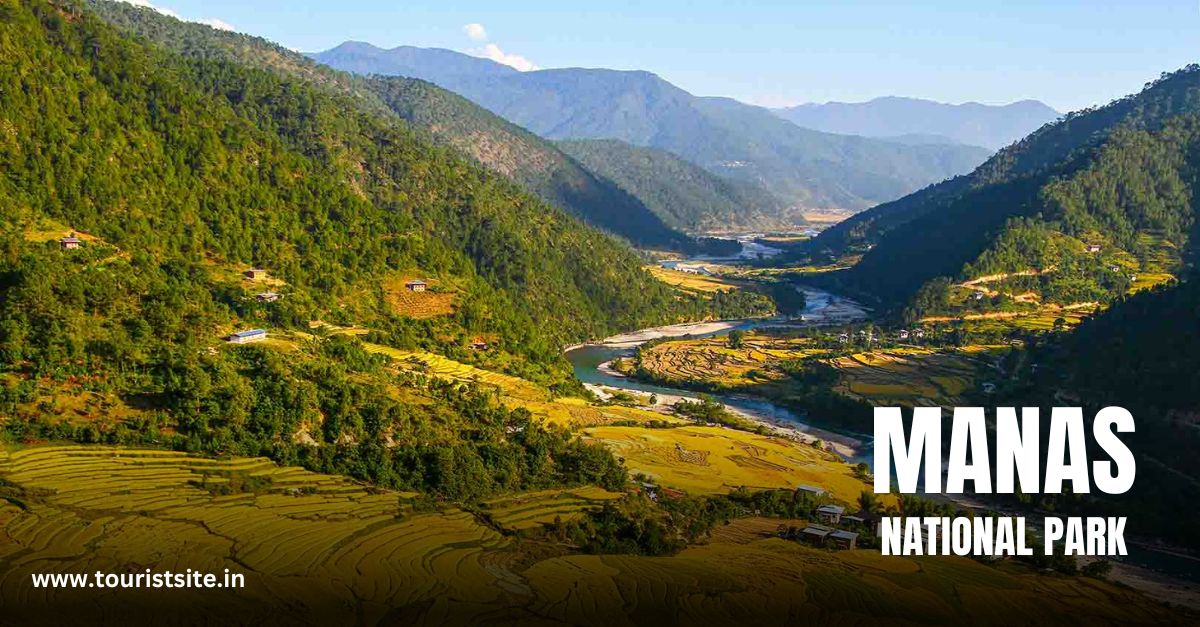Why Manas National Park Should Be Your Next Adventure Destination ...